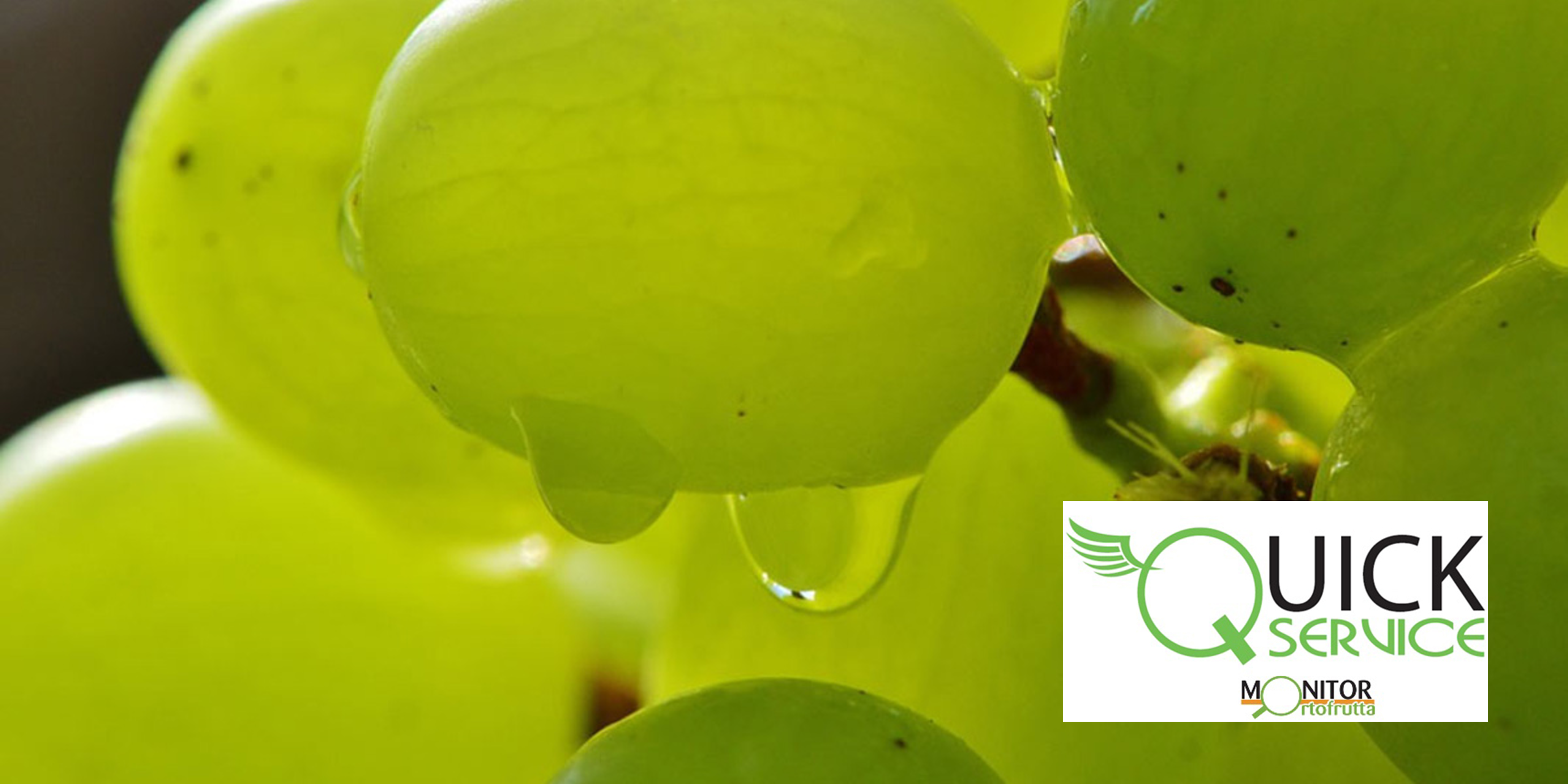Week 28: l’ortofrutta finalmente cresce più dell’Lcc - Italiafruit News