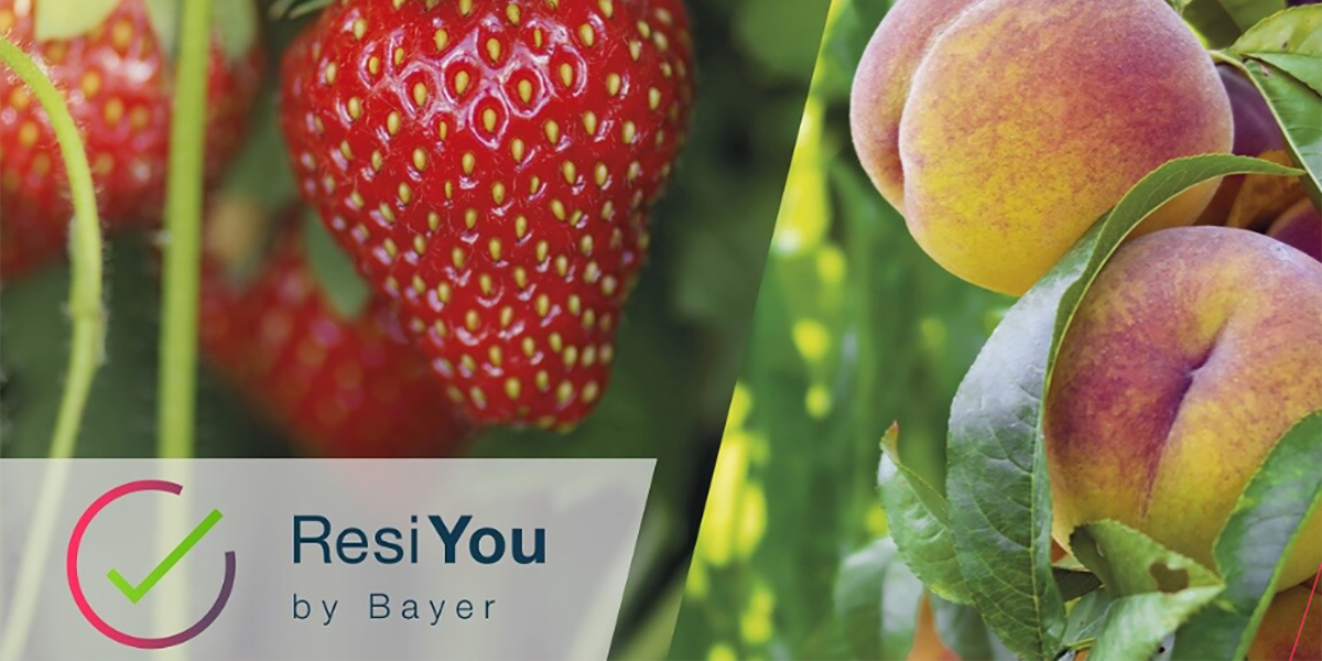 Bayer presenta le soluzioni digitali a Fieragricola Tech - Italiafruit News