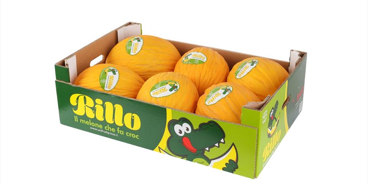Melone gialletto, nel Metaponto previsto un vuoto produttivo ...