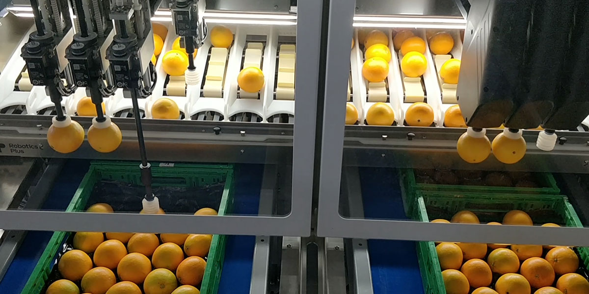 Sorma Group a Fruit Logistica: innovazione e sostenibilità per il ...