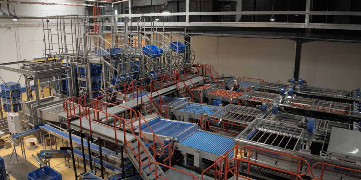 Sorma all'avanguardia per la frutta a nocciolo - Italiafruit News