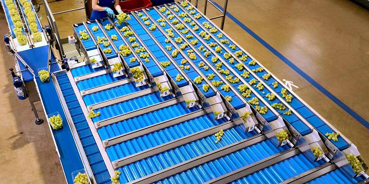 Sorma Group a Luv con una linea completa per la pesatura e il ...