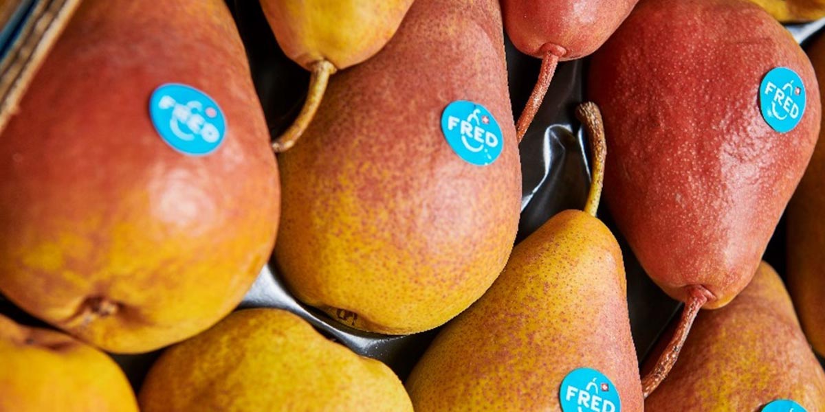 Fred, la pera è sempre più snack - Italiafruit News