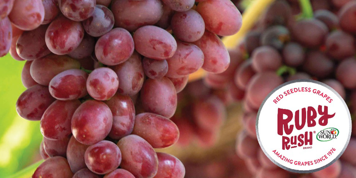 Ruby Rush, ecco il nuovo brand per l'uva da tavola di Sun World ...