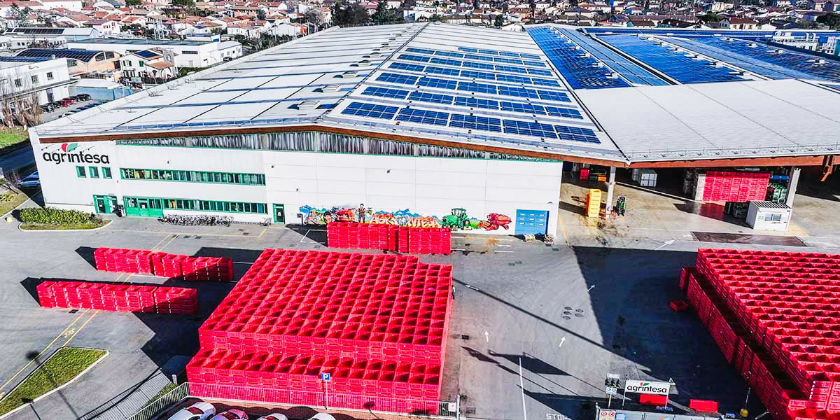 Agrintesa e Ulma Packaging: una partnership consolidata che guarda al ...
