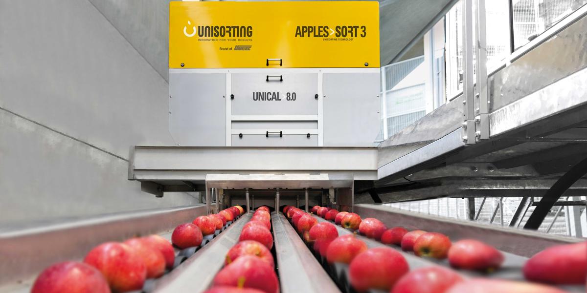 Classificazione delle mele, le novità Unitec - Italiafruit News