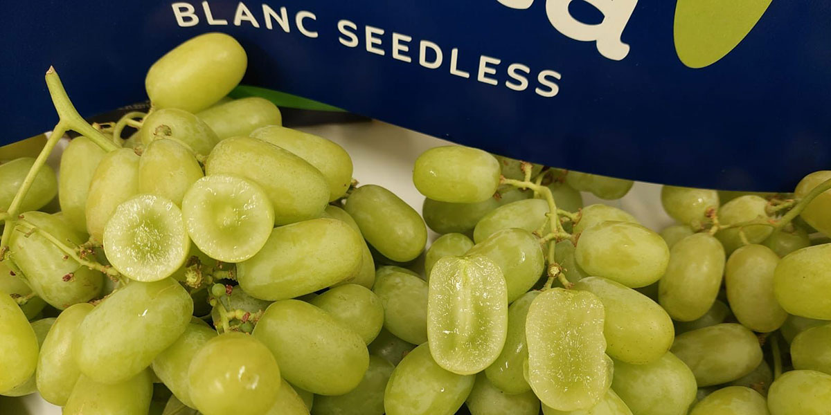 Sweeta, il marketing che fa il marketing - Italiafruit News