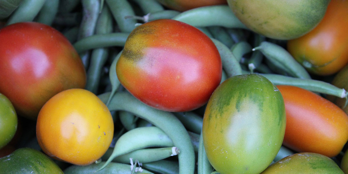 Verdure cotte o crude? Tutti i consigli - Italiafruit News