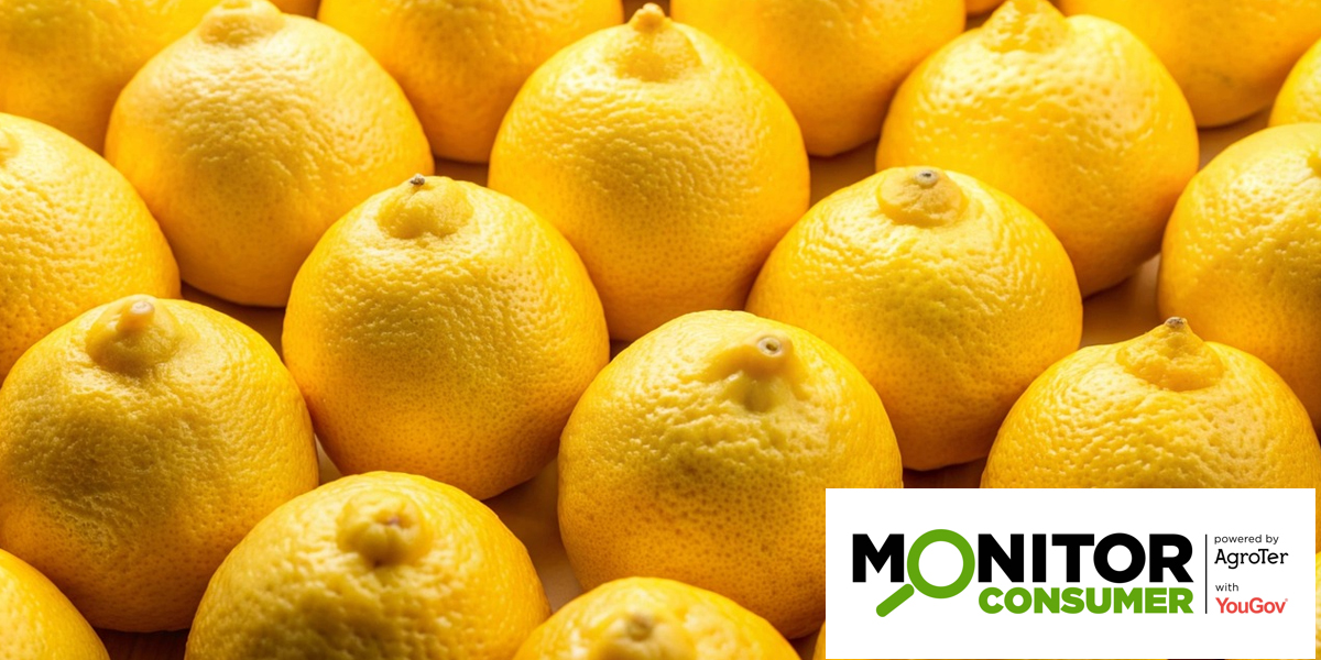 Vendite di limoni a picco, solo il Nord Est traina - Italiafruit News