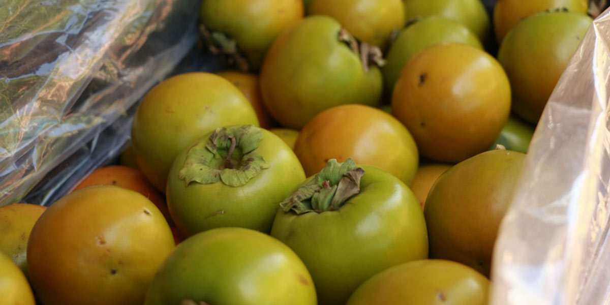 Bielorussia, novità sull'embargo - Italiafruit News