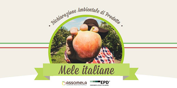 Assomela rinnova la certificazione Epd per le mele italiane ...