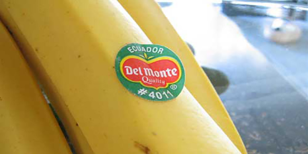 Del Monte, banane con adesivi compostabili - Italiafruit News