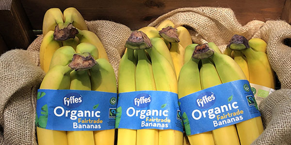 Fyffes «taglia» la plastica dalle banane bio - Italiafruit News