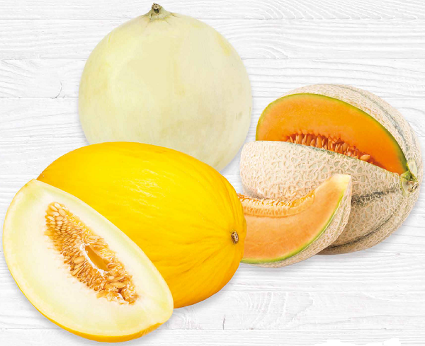 Ortofrutta Italia, al via la campagna del melone - Italiafruit News