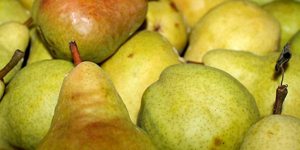 Pere, l'Italia non sarà l'unica a piangere - Italiafruit News