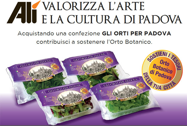 «Gli Orti per Padova»: le insalate di Alì pensano all'arte ...