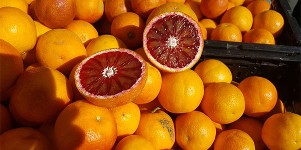 Arance rosse, svelato l'arcano della frigoconservazione - Italiafruit News