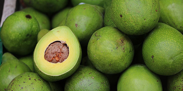 Usa, tira e molla sull'avocado messicano - Italiafruit News