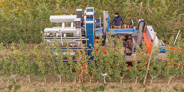 Fresh Fruits Robotics: pronta la raccoglitrice automatica - Italiafruit ...