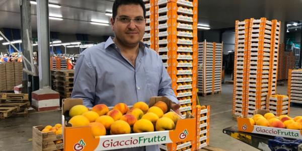 Il gran momento delle percoche - Italiafruit News