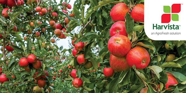 AgroFresh, Harvista vince il premio SadyOgrody - Italiafruit News