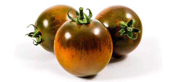 iL Camone raccontato dai produttori: il video - Italiafruit News