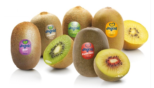 Jingold incontra i produttori e illustra le novità - Italiafruit News