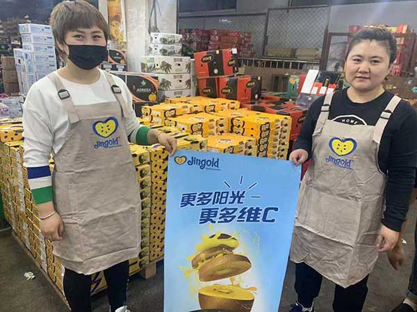 Jingold, in arrivo i kiwi prodotti in Sud America - Italiafruit News