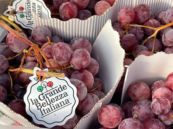 Uva, perchè scegliere una strategia di marca - Italiafruit News
