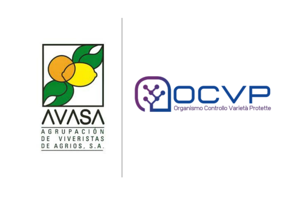 Varietà protette, si rafforzano i controlli con Ocvp - Italiafruit News