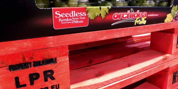 Lpr, il nuovo ad è Jean-Luc Guénard - Italiafruit News