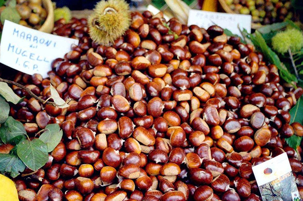 Marradi, addio alla storica fabbrica dei marroni - Italiafruit News