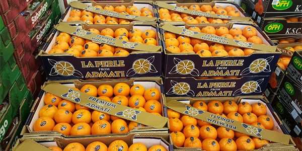 Mandarini, Orri non conosce la parola crisi - Italiafruit News