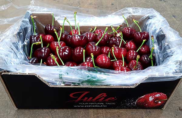 «Ciliegie, continuiamo ad investire in Romania» - Italiafruit News
