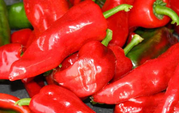 Peperone di Senise Igp, 650 mila euro per i produttori - Italiafruit News