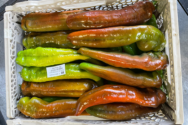 «Sweet Palermo, una conferma che migliora ogni anno» - Italiafruit News