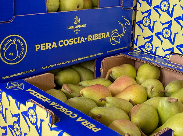 Pere Coscia di Ribera, la stagione prende il via - Italiafruit News
