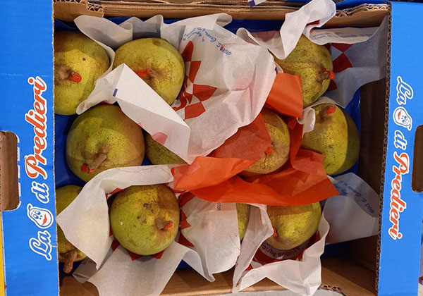 «Pere italiane, la Williams traina il mercato» - Italiafruit News