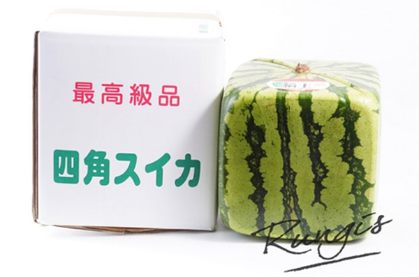 Le mini angurie quadrate sbarcano in Europa - Italiafruit News