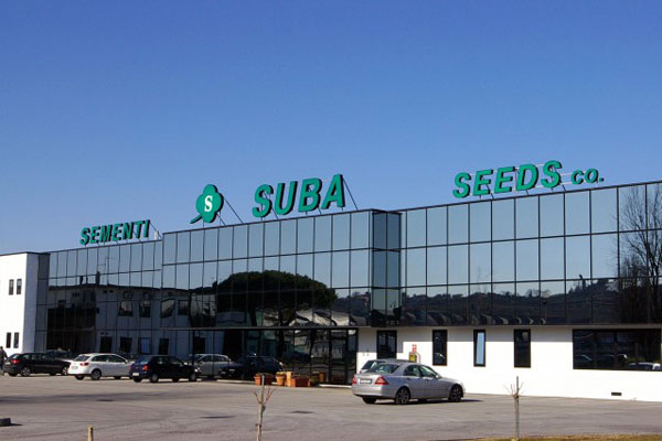 E' braccio di ferro per Suba Seeds - Italiafruit News