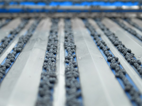 La tecnologia Unitec conquista Family Tree Farms - Italiafruit News