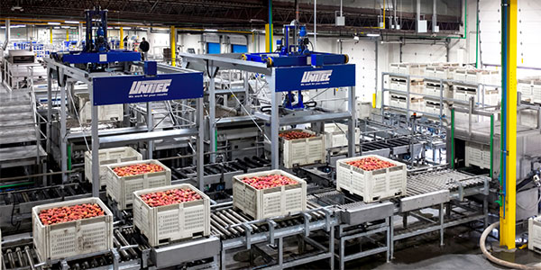 Diamond Fruit Growers e Unitec, la prima campagna pere - Italiafruit News