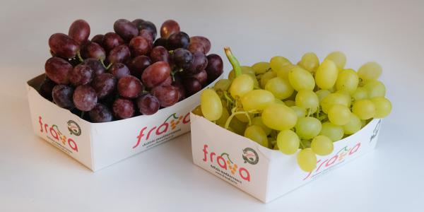 FraVa e la scelta dei vassoi compostabili - Italiafruit News