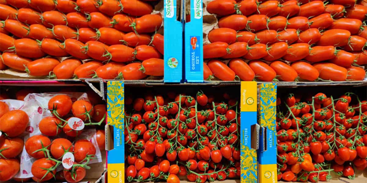 Ortaggi, fase delicata per il prodotto italiano - Italiafruit News